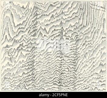 Nacre or mother of pearl structure of a shell, macro shot Stock Photo ...