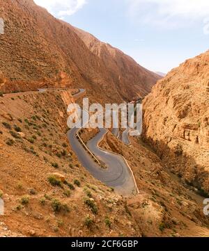 Drone view of narrow roadway going through dense forest with tall trees ...