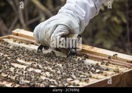 Worker in protective costume using tablet pc to check the work of ...