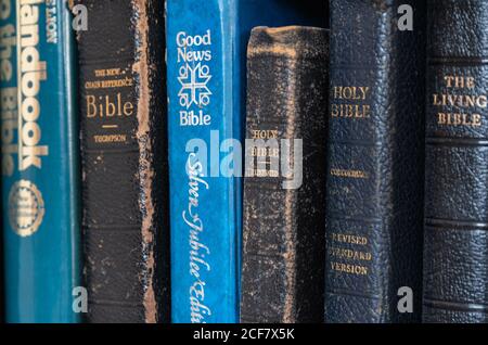 Christian bibles of different versions on a bookshelf. Religious symbol ...