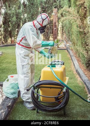 Fumigator in respiratory mask green gloves and white red striped ...