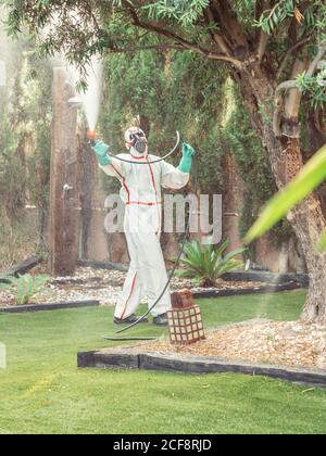 Pest Control Service Exterminator Spraying Insecticide At Home Stock ...