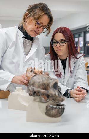 Scientists examining skull in lab Stock Photo - Alamy