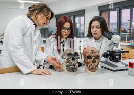Scientists examining skull in lab Stock Photo - Alamy