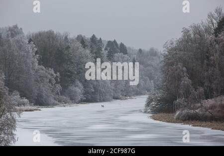 Frozen river among snow in Mohe County, China Stock Photo - Alamy