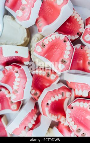 Box full of dental plaster models Stock Photo - Alamy