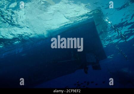 Ladders to dive boat from underwater Stock Photo - Alamy