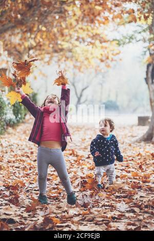 Children playing with autumn fallen leaves in park Stock Photo - Alamy