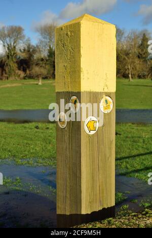 Waymarker post for Thames Path and the England Coast Path, a national ...