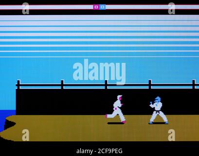 Karateka - Nintendo Entertainment System - NES Videogame - Editorial ...