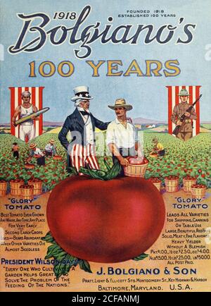 Bolgiano's 100 Years 'Glory' Tomato (1918) is a cultivation guide for a ...