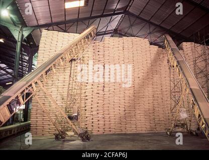 Stacked bagged sugar in sugar mill warehouse, Venezuela Stock Photo - Alamy