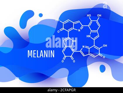 skin cells. Melanin, and melanocyte. Healthy Human Skin. Vector ...