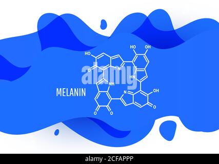 Melanin structural chemical formula on a white background Stock Vector ...