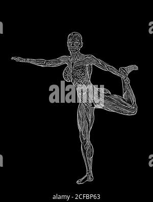 female bodybuilding in muscle maps is doing a funny face in white ...