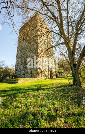 Residential tower of Burg Sponheim, in the Soonwald (Hunsrück), lies on ...