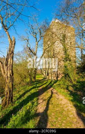 Residential tower of Burg Sponheim, in the Soonwald (Hunsrück), lies on ...