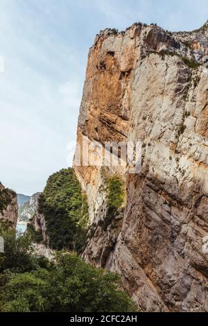 Top view of green summer gorge in Almaty mountains. Path on the tops of ...