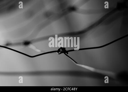 Closeup of shiny strained metal barbed wire on blurred background in ...