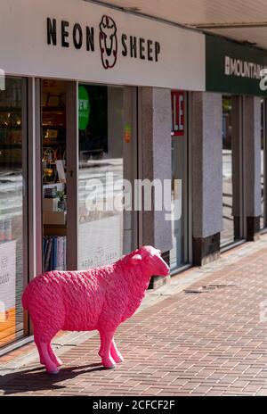 AVIEMORE HIGHLANDS SCOTLAND MAIN STREET WITH SHOPS AND FLOWERS IN ...