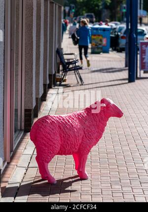 AVIEMORE HIGHLANDS SCOTLAND THE MAIN STREET SHOPS AND SIGNS Stock Photo ...