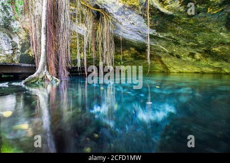 Gran Cenote - open karst cave in Tulum filled with water. Quintana Roo ...
