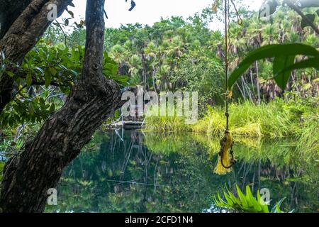Cenote Crystal - open, water-filled karst cave in Tulum. Quintana Roo ...