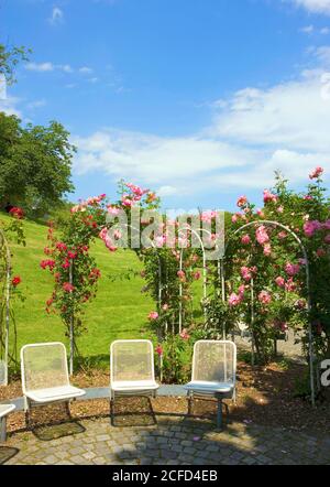 Munich, Westpark, Rosengarten, is located at the western end of the ...