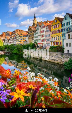 summer flowers in germany Stock Photo - Alamy