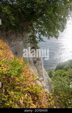 Sassnitz NP Jasmund, Rügen, Baltic Sea Coast, Mecklenburg-Vorpommern ...