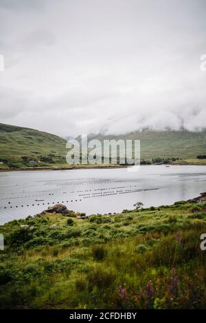 Republic of Ireland, County Mayo, shellfish farming on the Fjord of ...