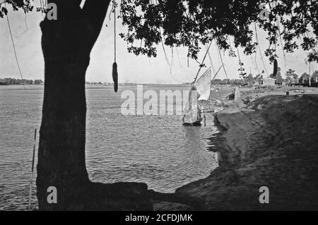 Middle East History: Sudan. Khartoum. Shambat village. Making mud ...