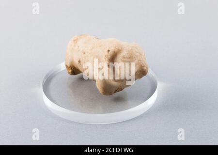 Ram figure, stone carving, from Mehrgarh or Mehragarh, Prehistoric ...