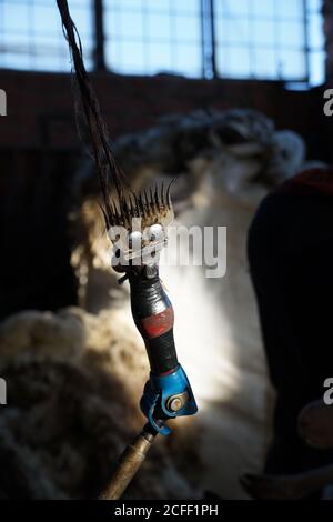 Professional sheep shearing razor hanging on rope in dark barn on farm ...