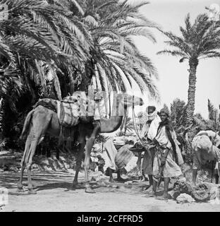 In the Sinai. 1898, Egypt, Sinai Stock Photo - Alamy