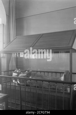 Egypt. Cairo. Museum. Tutankhamun's 3rd innermost coffin , canopic ...