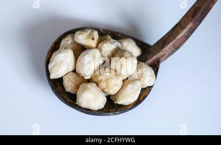 Candlenut on coconut shell ladle on white background Stock Photo - Alamy