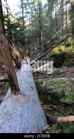 dovbush rocks landmark autumn season copy space Stock Photo - Alamy