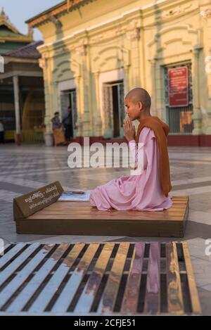 Young nun praying on pink background Stock Photo - Alamy