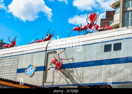 A view of a train covered in giant Ant sculptures crawling over a train ...