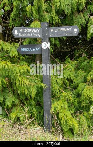 The Ridgeway National Trail, Historic Road, North Stoke, Oxfordshire ...