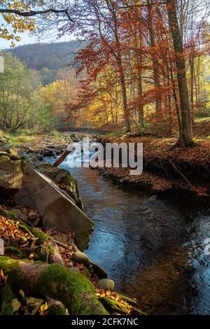 mountain river, forest and bright sunrise Stock Photo - Alamy