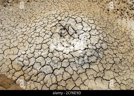texture and patterns of sun-dried soil Stock Photo - Alamy