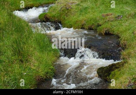 Duff river, Spring water in Co Leitrim, Ireland Stock Photo - Alamy