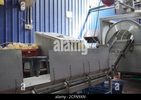 Traditional tapioca chips factory at Tanjung Sepat, Malaysia Stock ...