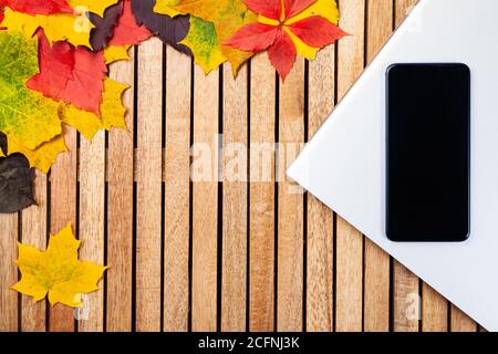 Smartphone on maple leaves background with some coins. Autumn ...