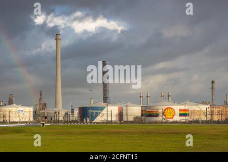 The Netherlands, Rotterdam, Port of Rotterdam, Shell Pernis Stock Photo ...