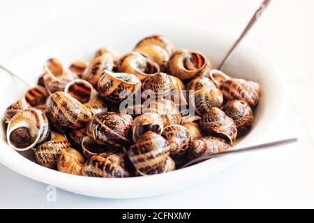 Snails cooked in white wine, traditional Cretan recipe (selective focus ...