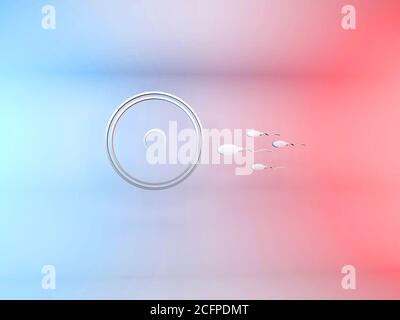 Illustration of an ovum fertilization by sperm 3D - perfect for ...
