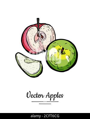 fruit half cutted red apple Cartoon vector illustration isolated object ...